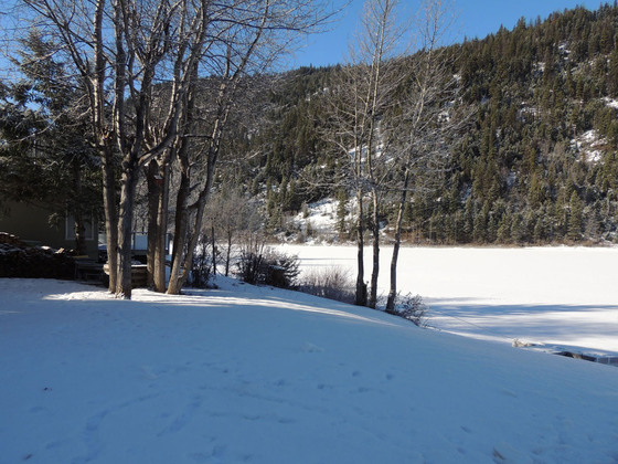 Desirable Lakefront Lot - Allison Lake, BC | LandQuest® Realty